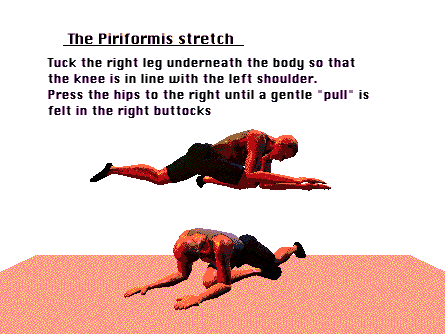 TeSt - Kestävyysjuoksun erikoisseura